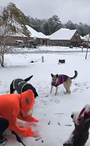 South Louisiana's snow day: A rare December storm brings snow, sleet ...