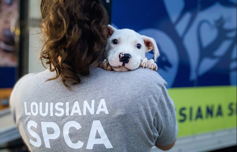 Weekend plans in New Orleans? We've got you covered here ...