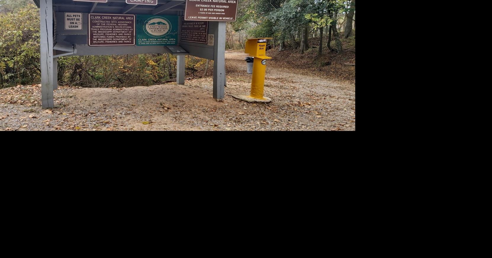 Clark Creek 3 | Entertainment/Life | nola.com