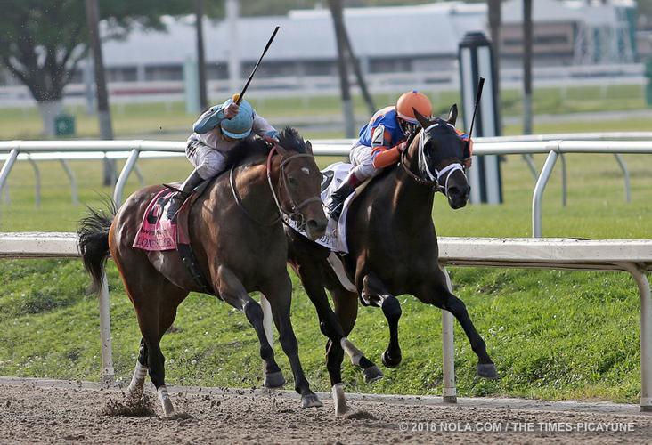 Louisiana Derby Day 2018: photo gallery | Archive | nola.com