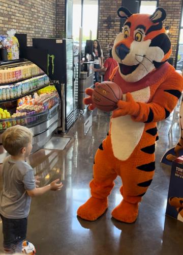 tony the tiger mascot head