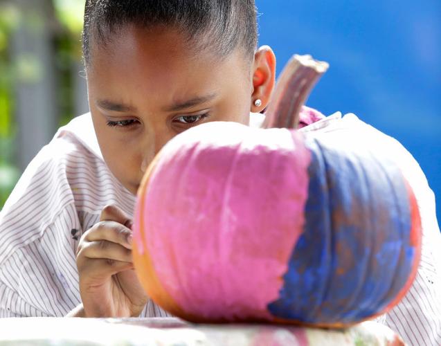 Pumpkin patches to visit in and around New Orleans | Archive | nola.com