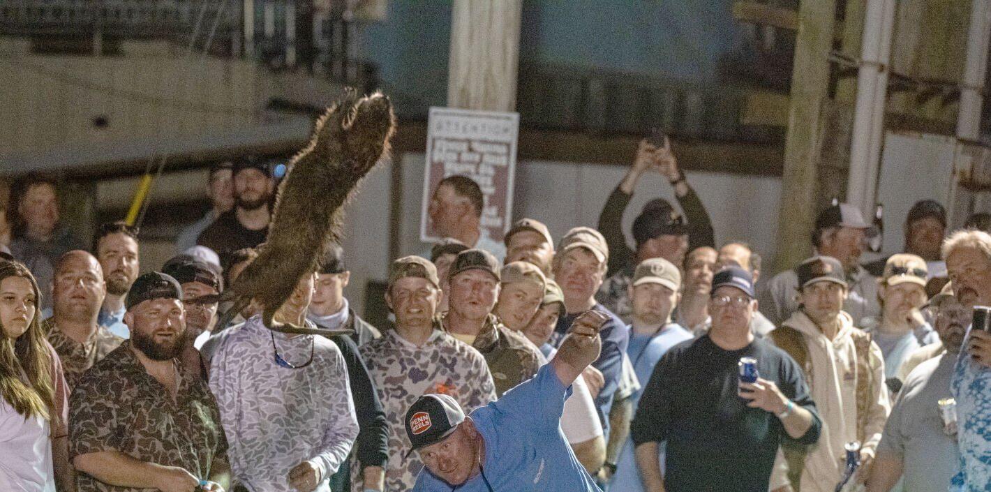 Louisiana nutria rodeo takes aim at harmful invasive species | News ...