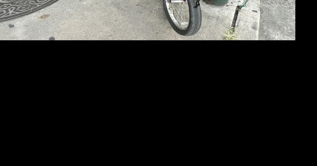 NO.opossum.022224 | | nola.com