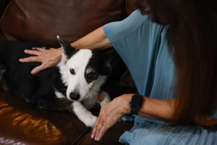 Margaret Orr of WDSU forecasts her own retirement | Keith Spera | nola.com