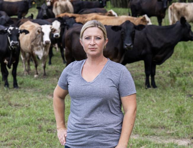 Scorching weather taking toll on Louisiana ranchers, farmers ...