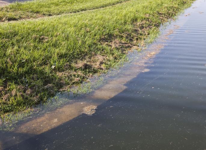 Bayou St. John tops its banks, seeps into yards after water valve ...