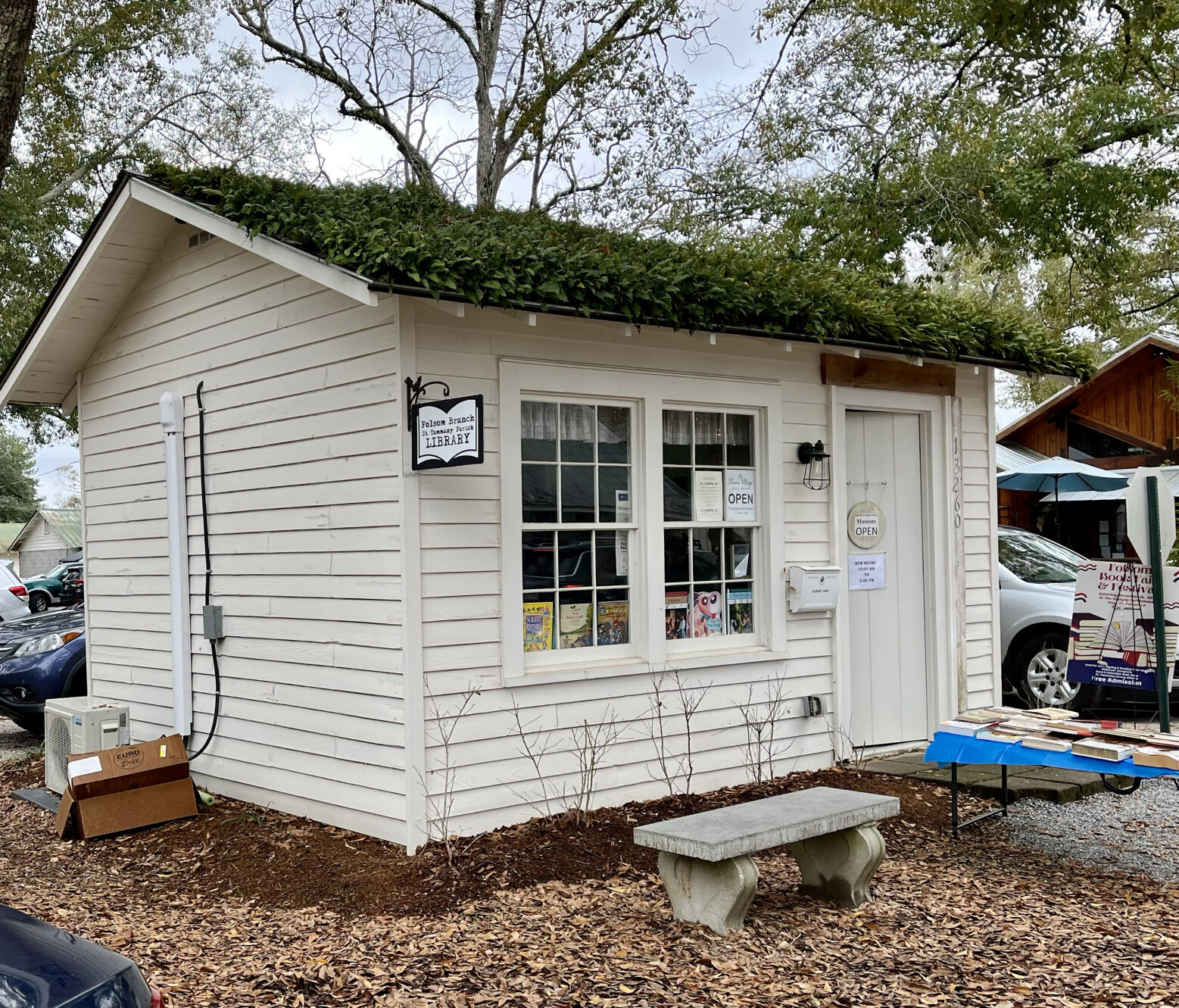 Louisiana's Bogue Chitto State Park cabins offer comfort ...