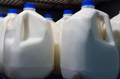 11 people ill after drinking raw milk in Louisiana, LDH says | Health ...
