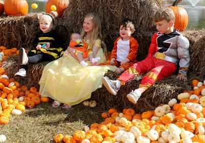 Here are the pumpkin patches you should visit this fall | Louisiana ...
