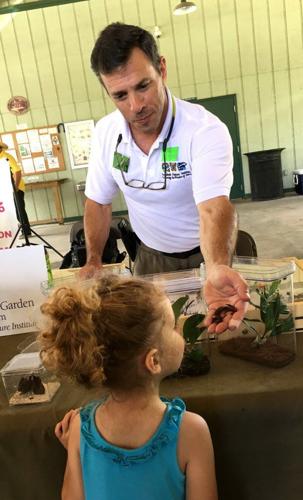 Insectarium guru heads to local swamps to collect bugs | Archive | nola.com