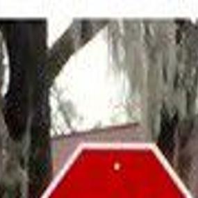 traffic stop examples