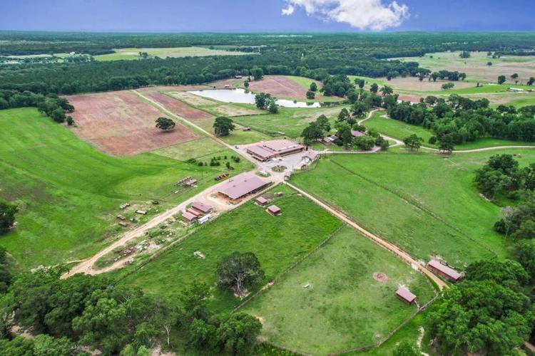 Running Creek Ranch Sporting Club & Resort up for auction | Business ...
