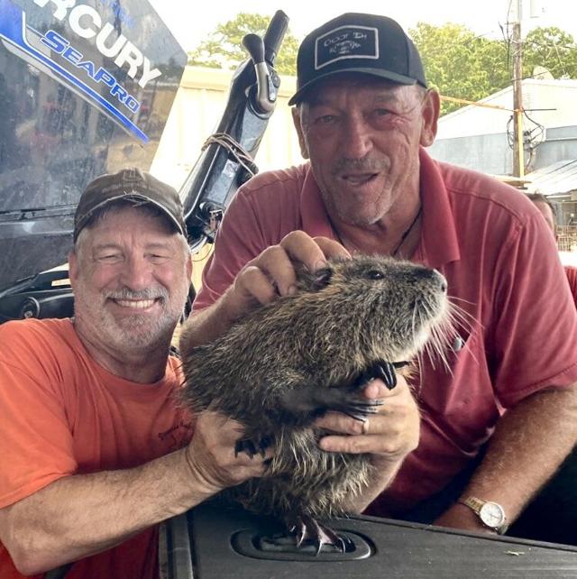 Neuty replaces Beignet at Rougarou Fest, tailgates Saints ...