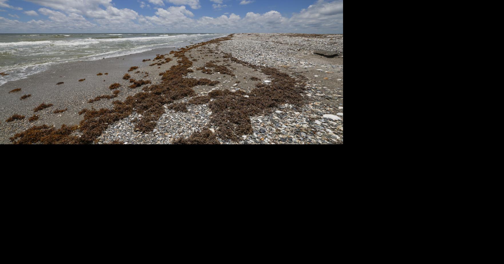 Officials give tour of South Chandeleur Islands | Photos | nola.com