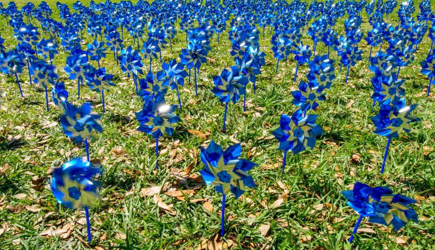 Photos: Pinwheels for prevention | Photos | nola.com