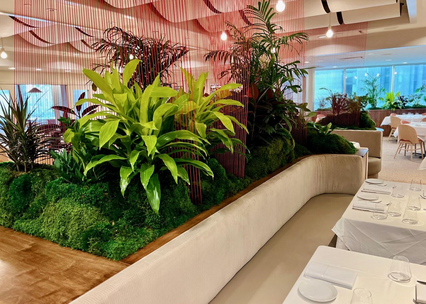 Brasa steakhouse opens in former Morton's in New Orleans LA | Where ...