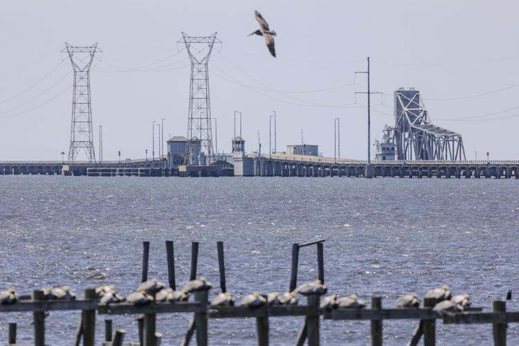 Two La. senators want to name a bridge after Jimmy Buffett | Business ...
