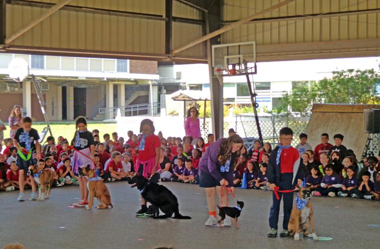 Bissonet Plaza students are rewarded for good behavior with dog show ...