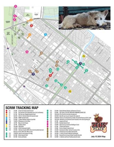 Scrim, famous Mid-City stray dog escapes drug dart again ...