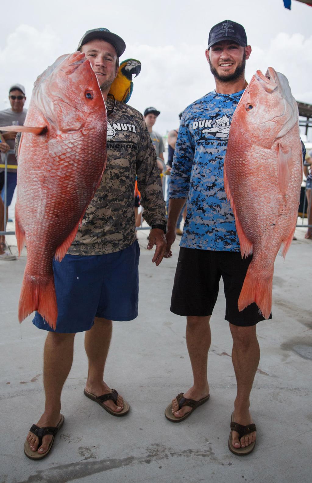 red grouper record