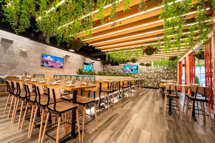 Top-of-the-List restaurant Mister Oso blends Latin American flavors to ...