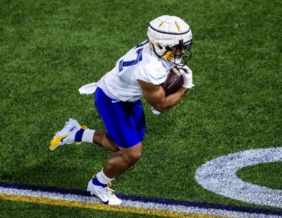 LSU has eight running backs, how will it use them? | LSU | nola.com