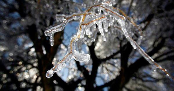 Freeze checklist: How to protect your pipes and plants | Home/Garden ...