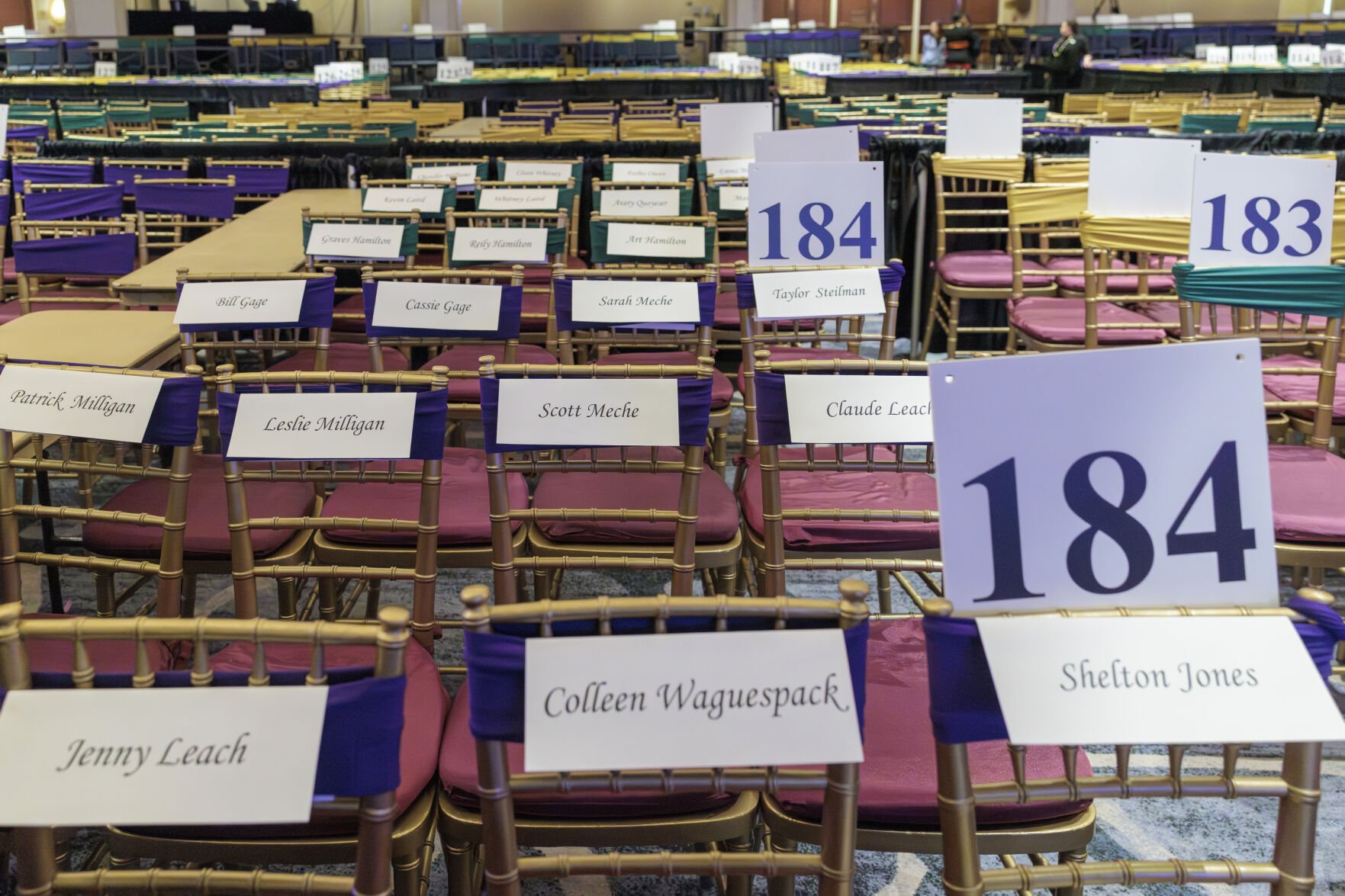 Washington Mardi Gras Ball 2026_13.JPG | | nola.com