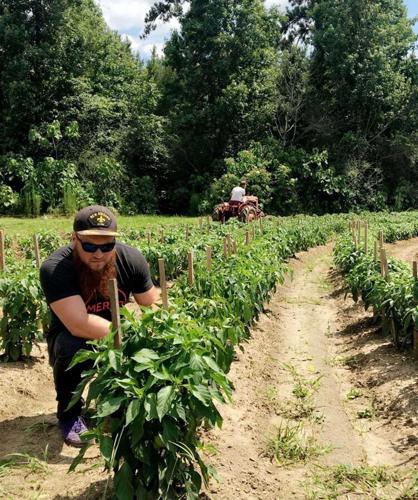 8 things to know about Meribo, an Italian restaurant in Covington | One ...