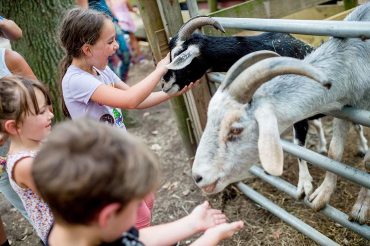 We'll take that to GROW: Algiers farm shows visitors where food comes ...