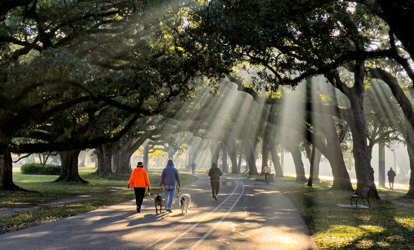 Why you should visit Crosby Arboretum nature trail in MS ...