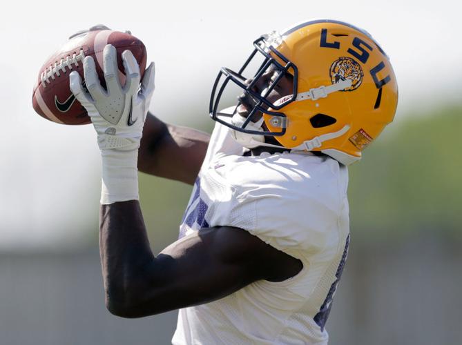 Brothers Jaylon, Jazz Ferguson hope NFL Draft paths lead to same ...