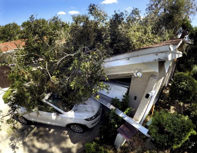 Millionaire opens manse to 70 foster kids left homeless by Irma: Report ...