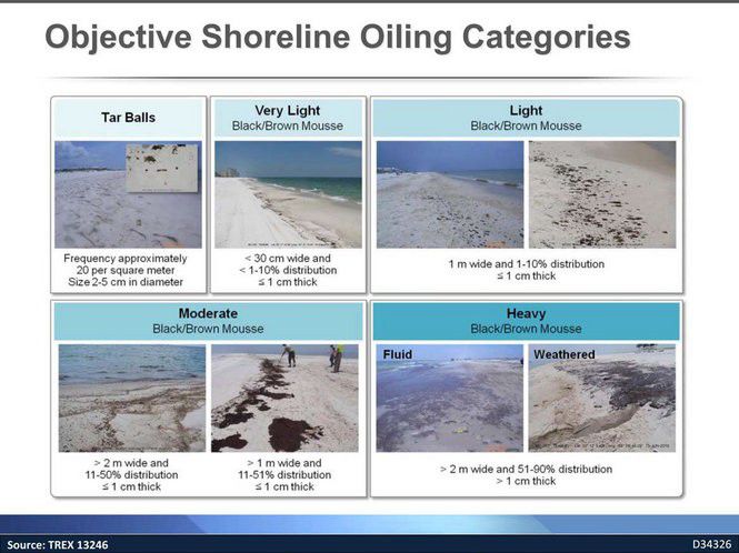 In Bp Oil Spill A Tale Of Two Gulfs How Bp Sees It Environment