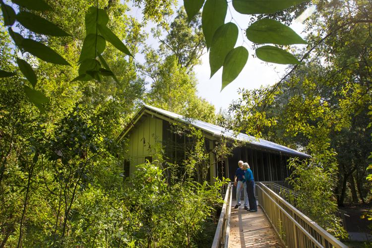 Joe Carmichael, founder of A Studio in the Woods, dead at 95 | News ...