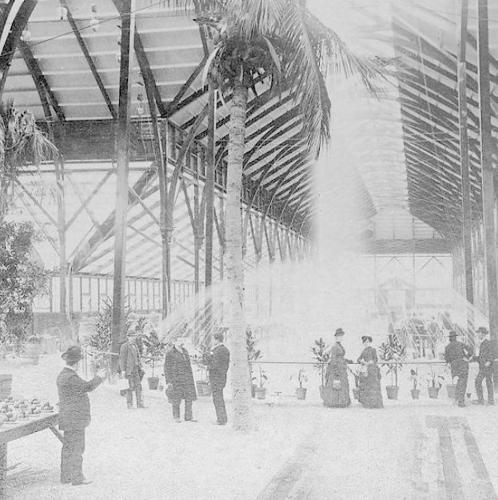 The 1884 Cotton Expo and New Orleans' first case of World's Fair fever ...