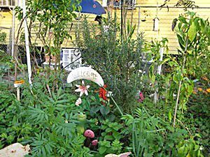 Backyard Gardener's Network | Lifestyle | nola.com