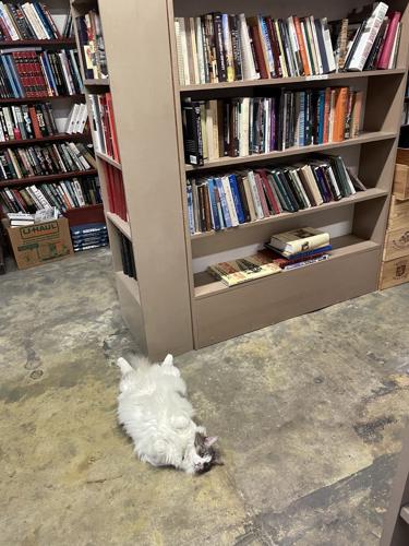 Beckham's Bookshop in New Orleans reminds me how fun reading can be ...