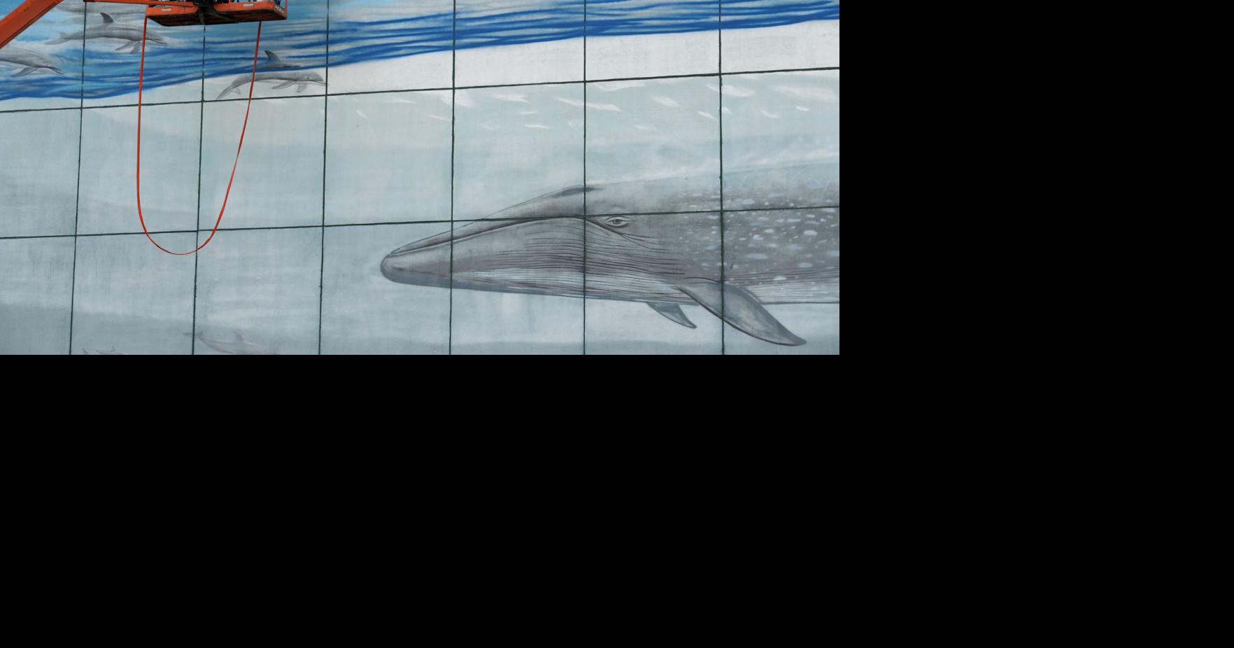 Photos: Whale mural on Hilton restored by original artist | Photos ...
