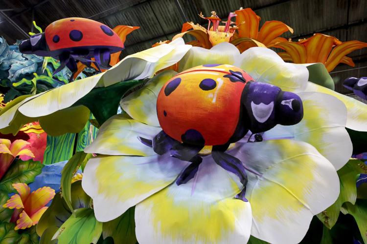 mardi gras float flowers