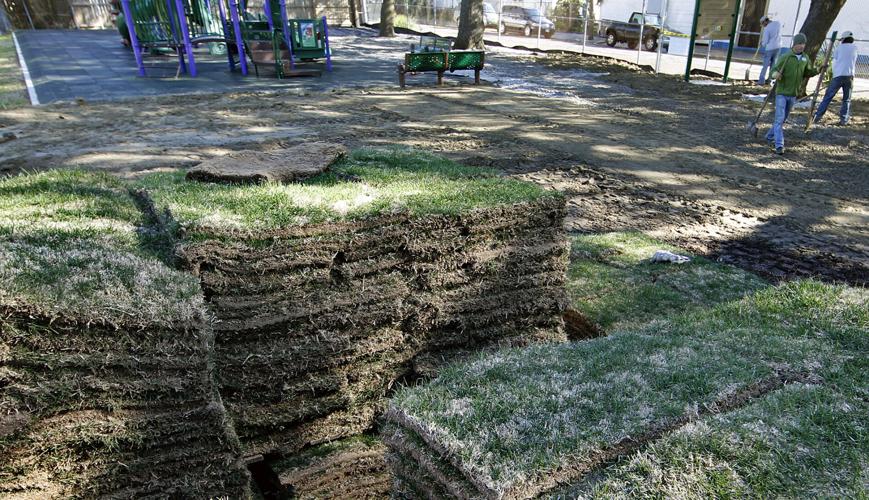 The right way to water new sod | Home/Garden | nola.com