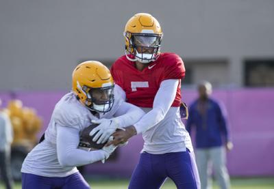 A look at how LSU football now coaches special teams | LSU | nola.com