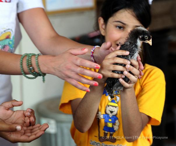 LSU AgCenter hosts AgMagic on the River at Docville Farm | Education ...