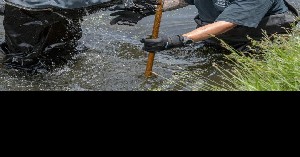 Arrested NOPD officer Wardell Johnson has history of downplaying ...