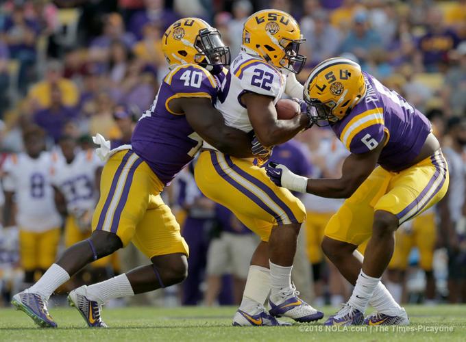 Check out the final stats from LSU football's spring game | Archive ...