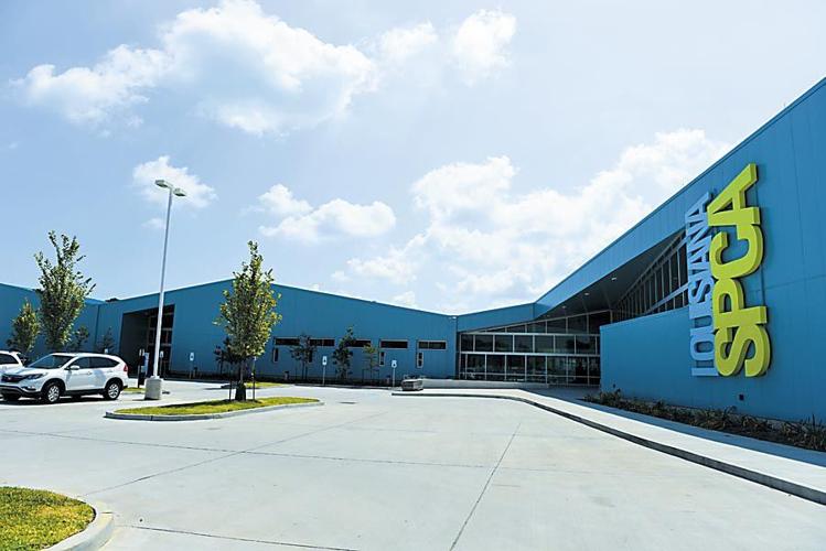 Give Me Shelter: Louisiana SPCA has a bigger, better home | Pets | nola.com