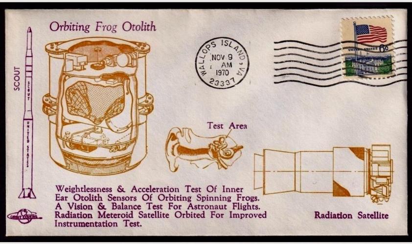 Louisiana sent two frogs to NASA in 1970 for a space mission | Curious ...