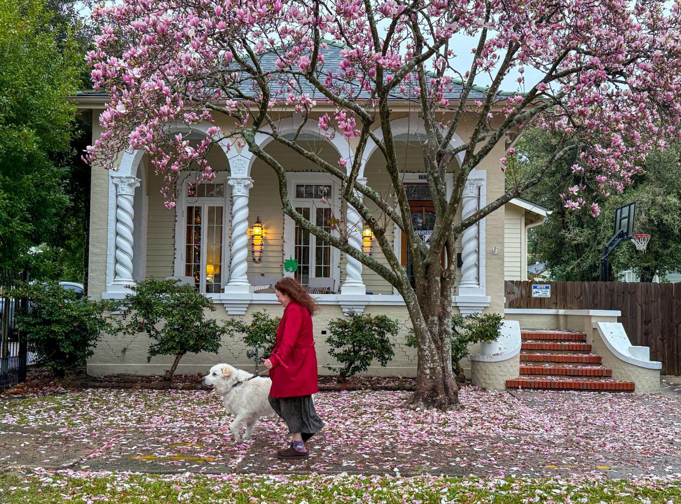 Extreme cold warning as Arctic front hits south Louisiana | Weather ...