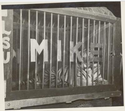 How LSU's Mike the tiger came to be nearly 90 years ago | LSU | nola.com